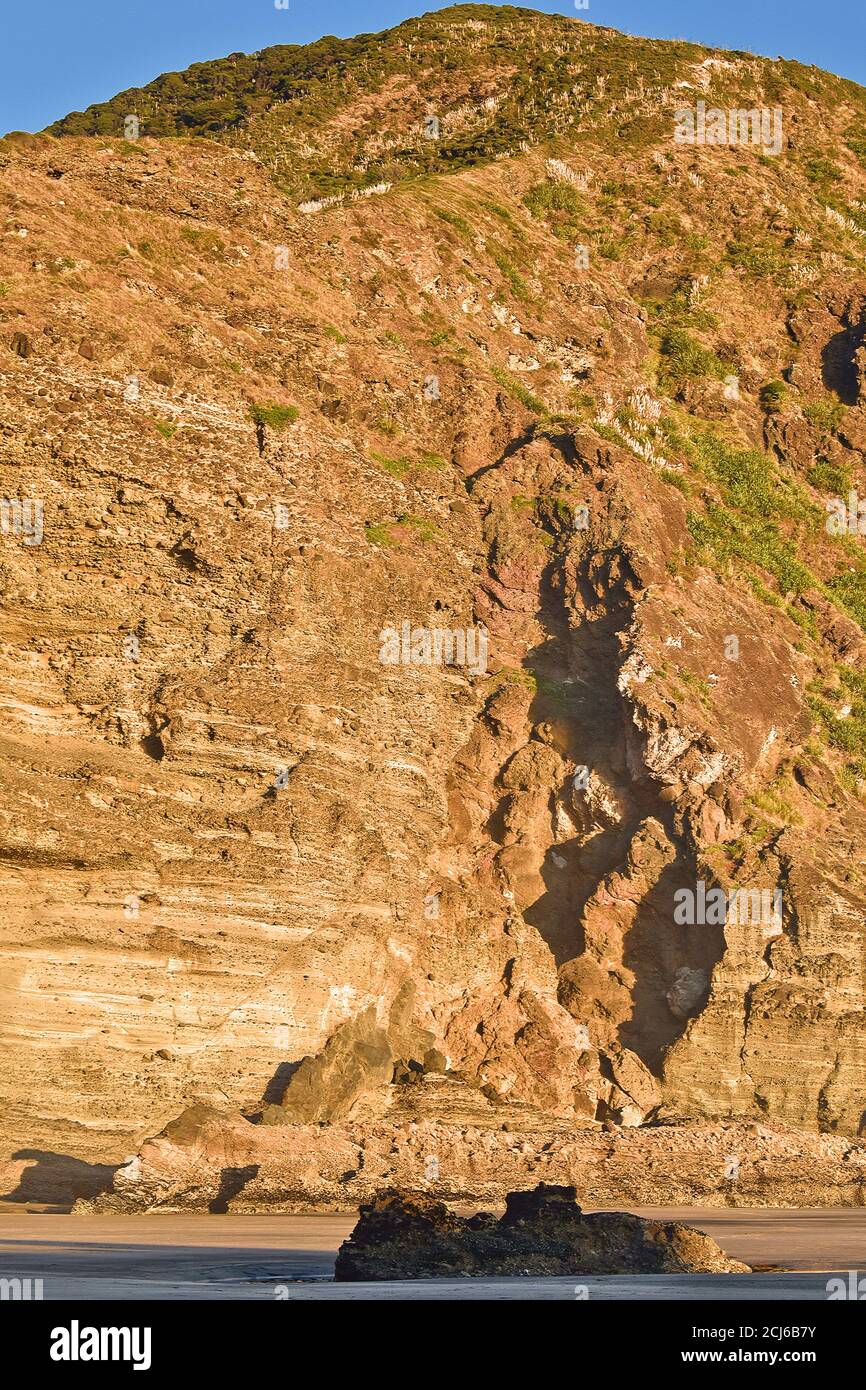 Scars head hi-res stock photography and images - Alamy