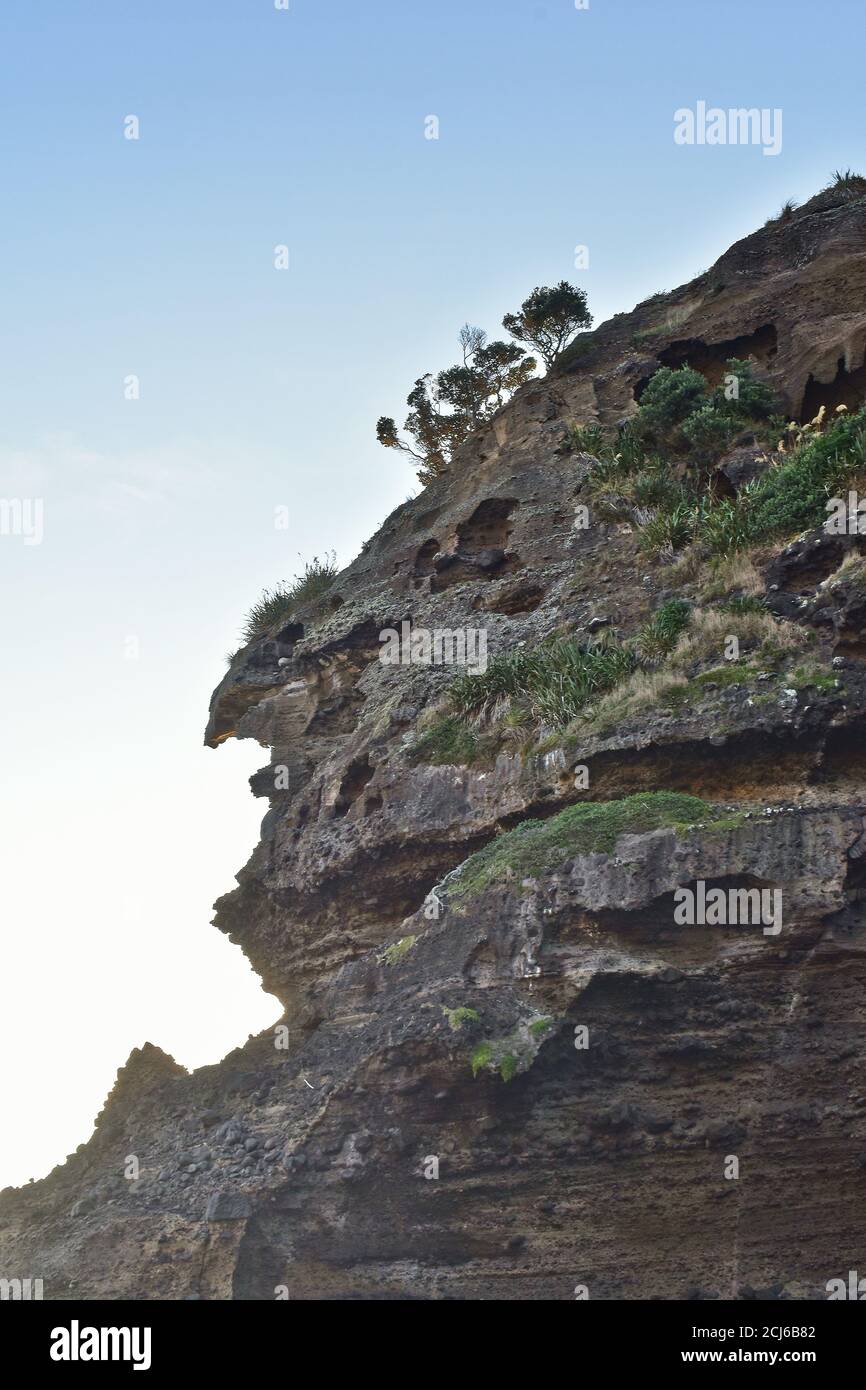 Vertical shot of the south side of Kaiwhare Point cliff looks like a ...
