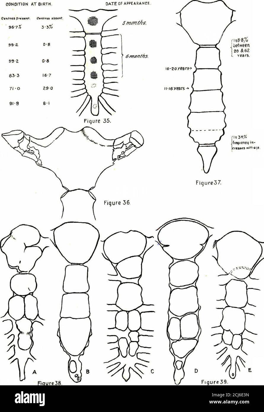 Lectures delivered Cut Out Stock Images & Pictures - Alamy