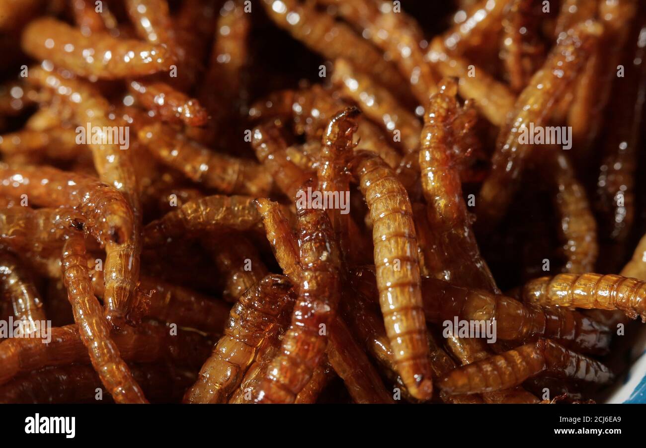 Carlos paniagua hi-res stock photography and images - Alamy