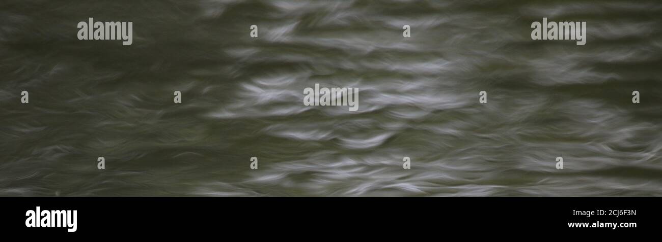 The abstract appearance of disturbed water, created by feeding ...