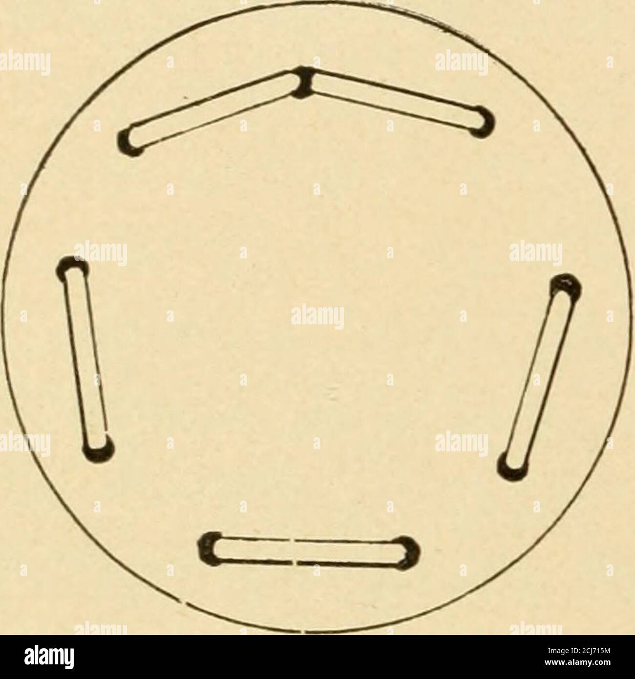 . Basketry and weaving in the school . XVJ. XVII Stock Photo - Alamy