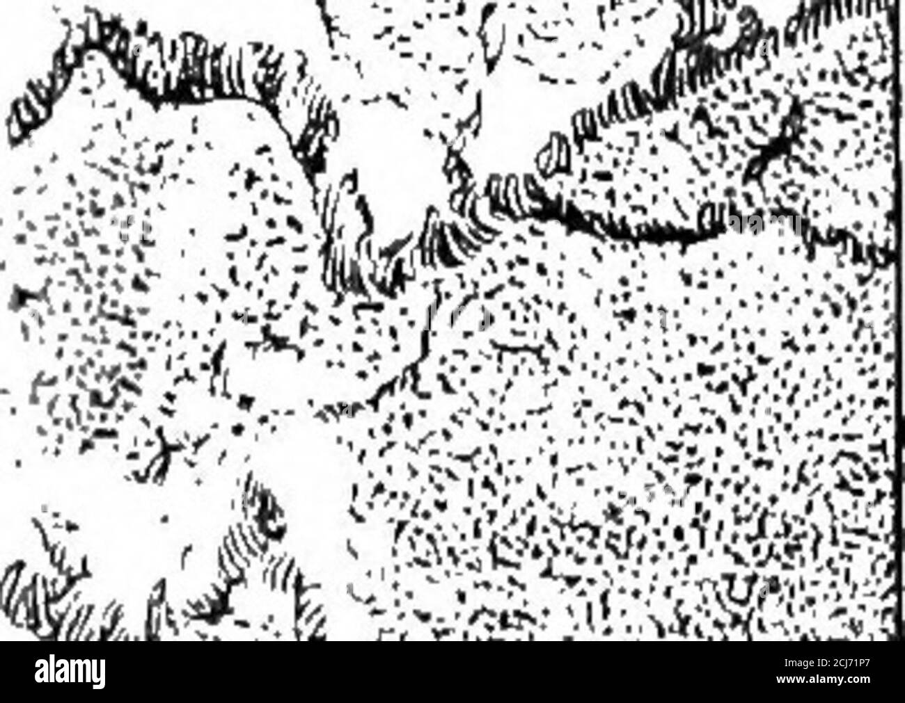 Murmured Black and White Stock Photos & Images - Alamy