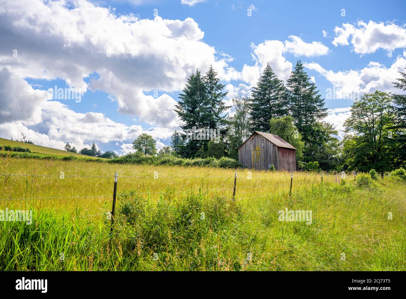 Edge of hayfield hi-res stock photography and images - Alamy