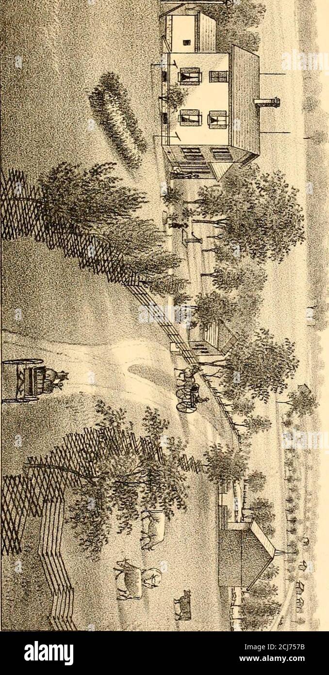 . History of Ingham and Eaton counties, Michigan . V E V A Y. NATURAL ...