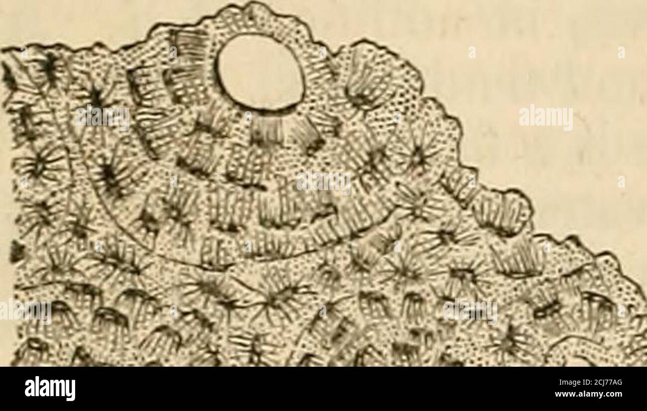 Concentric canals hi-res stock photography and images - Alamy