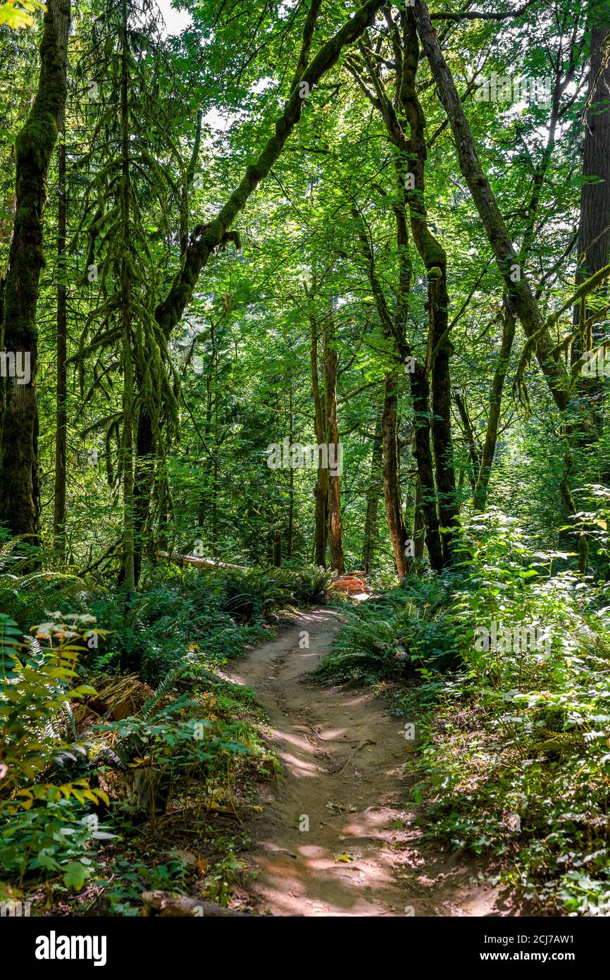 Full Immersion In Nature High Resolution Stock Photography and Images ...