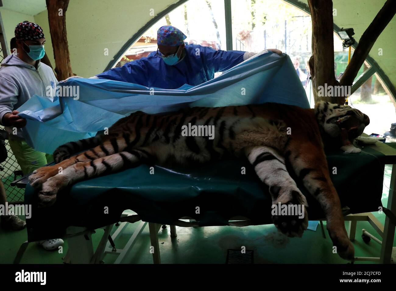 Non invasive surgery hi-res stock photography and images - Alamy