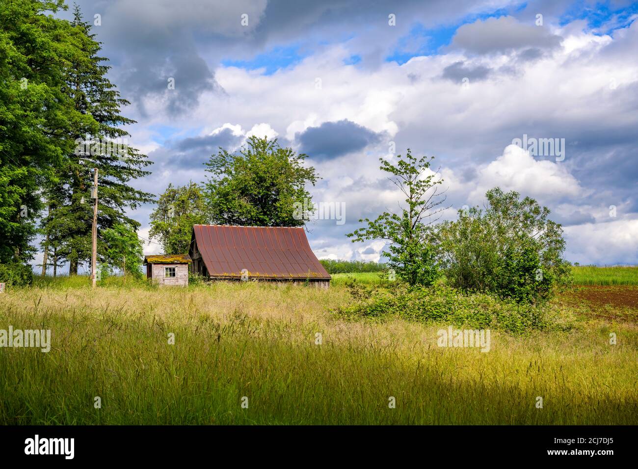 Rural summer landscape with old rickety wooden hay barn standing under ...