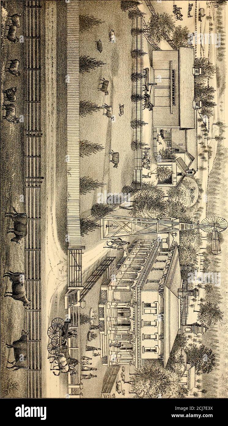 Sarah stockbridge hi-res stock photography and images - Alamy