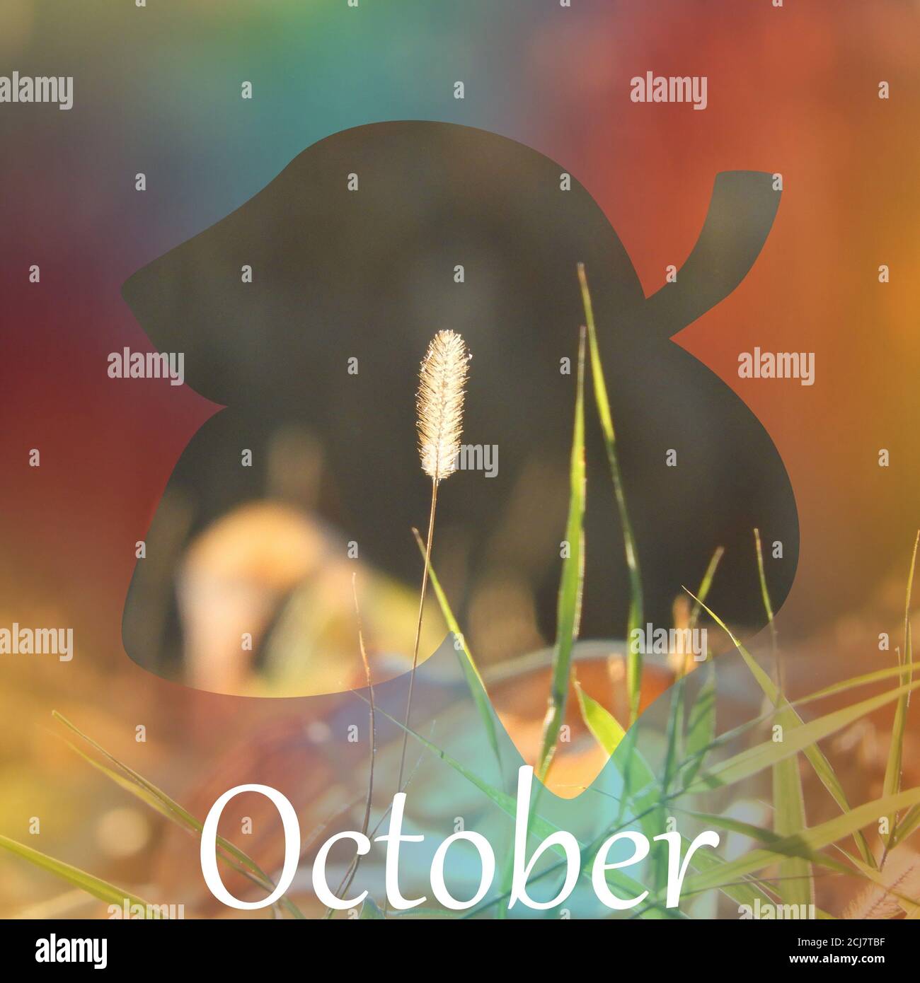 Closeup shot of an autumn nature scenery in an acorn-shaped frame, text ...