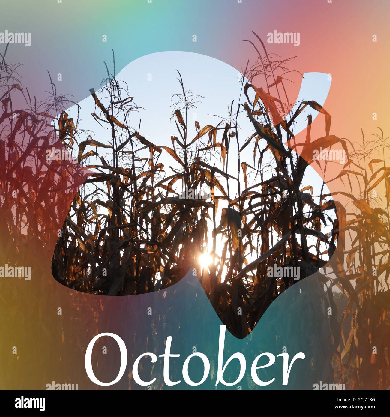 Closeup shot of an autumn nature scenery in an acorn-shaped frame, text ...