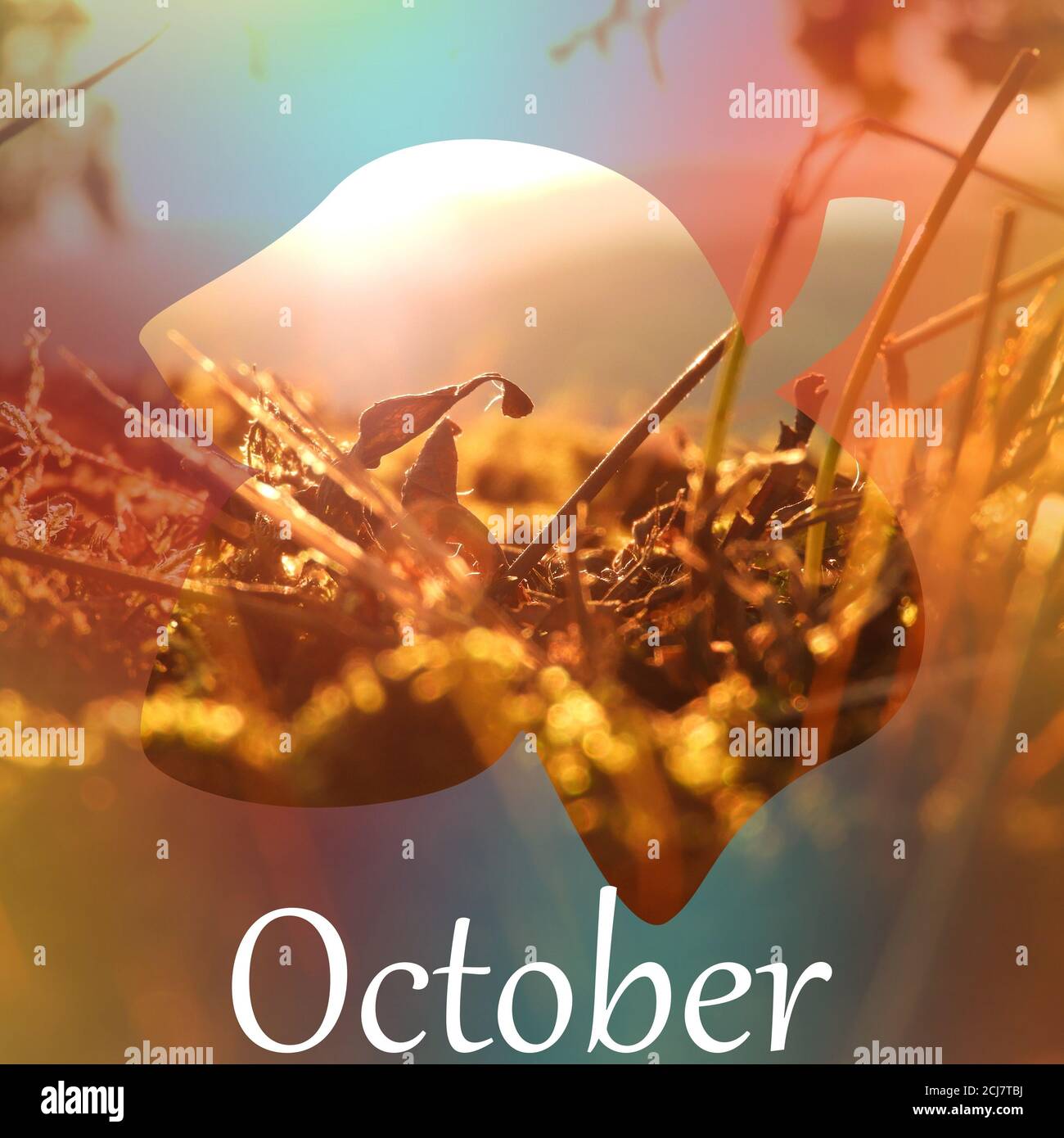 Closeup shot of an autumn nature scenery in an acorn-shaped frame, text ...