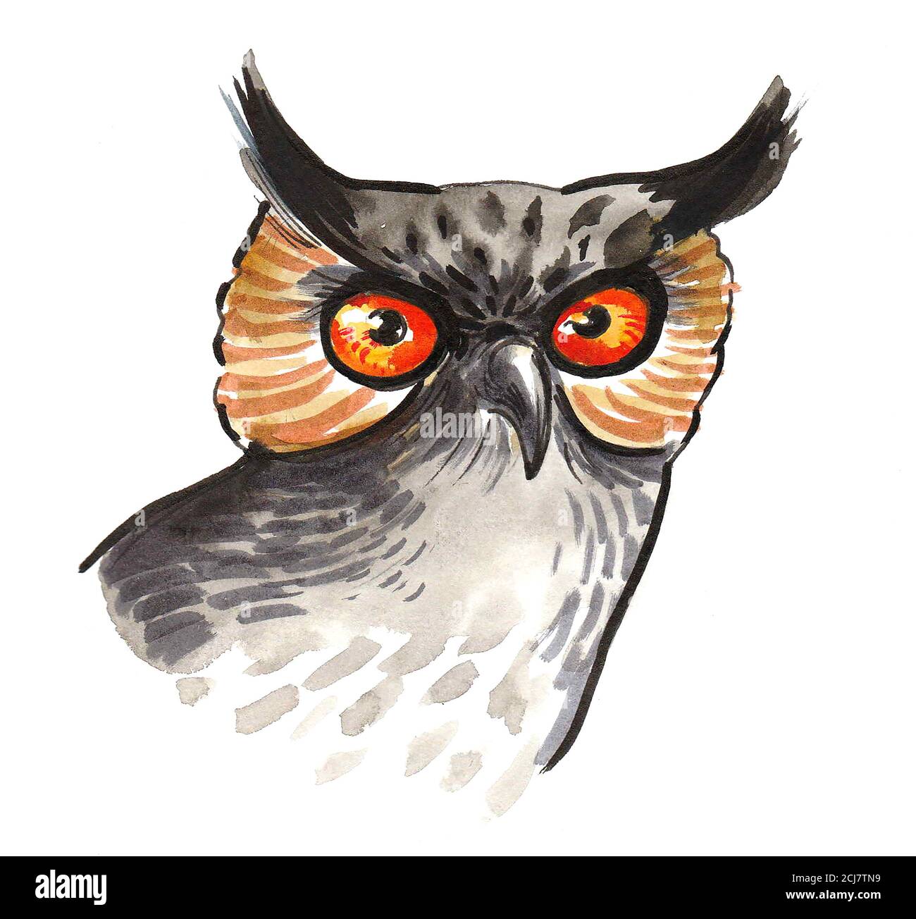 Owl bird head. Ink and watercolor drawing Stock Photo - Alamy