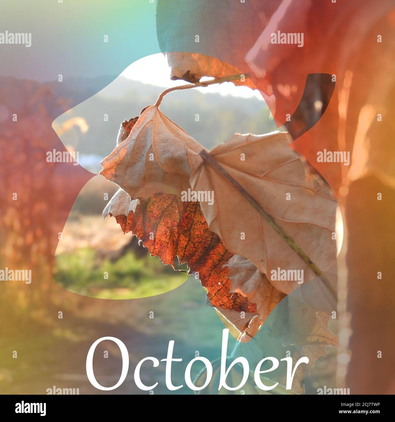 Closeup shot of an autumn nature scenery in an acorn-shaped frame, text ...