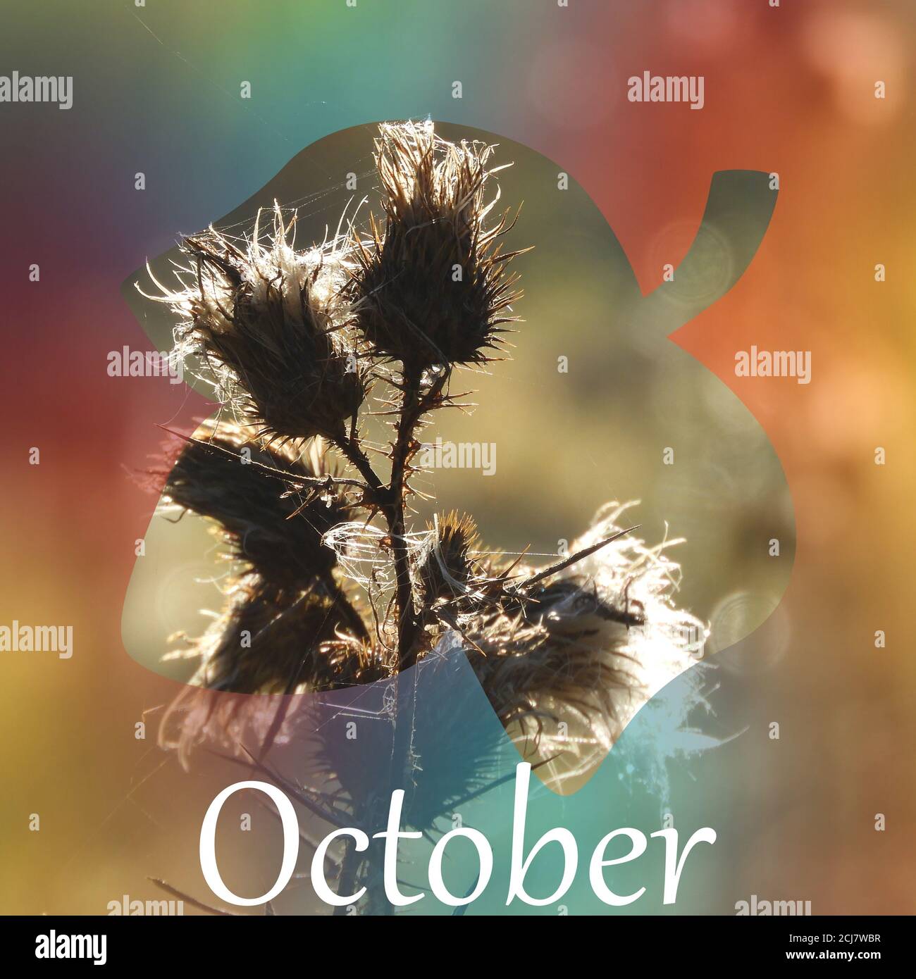 Closeup shot of an autumn nature scenery in an acorn-shaped frame, text ...
