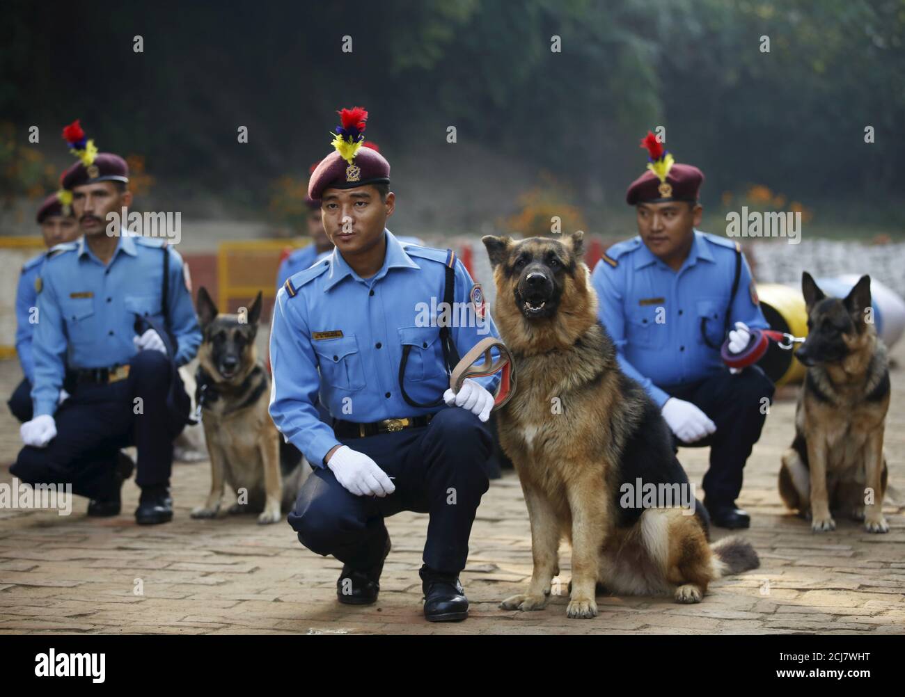 Are Police Dogs Considered Officers