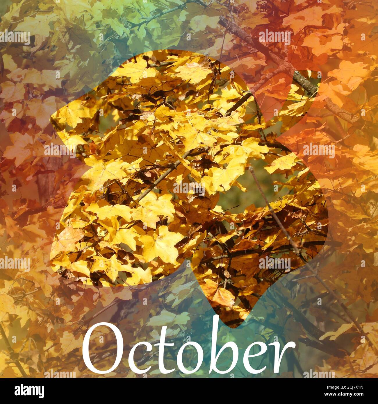 Closeup shot of an autumn nature scenery in an acorn-shaped frame, text ...