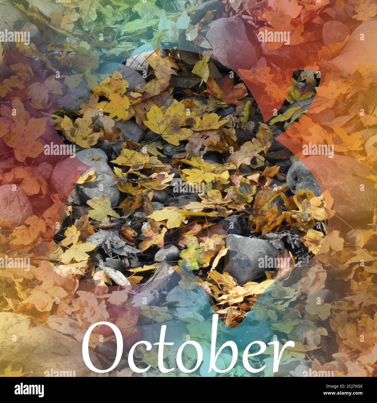 Closeup shot of an autumn nature scenery in an acorn-shaped frame, text ...