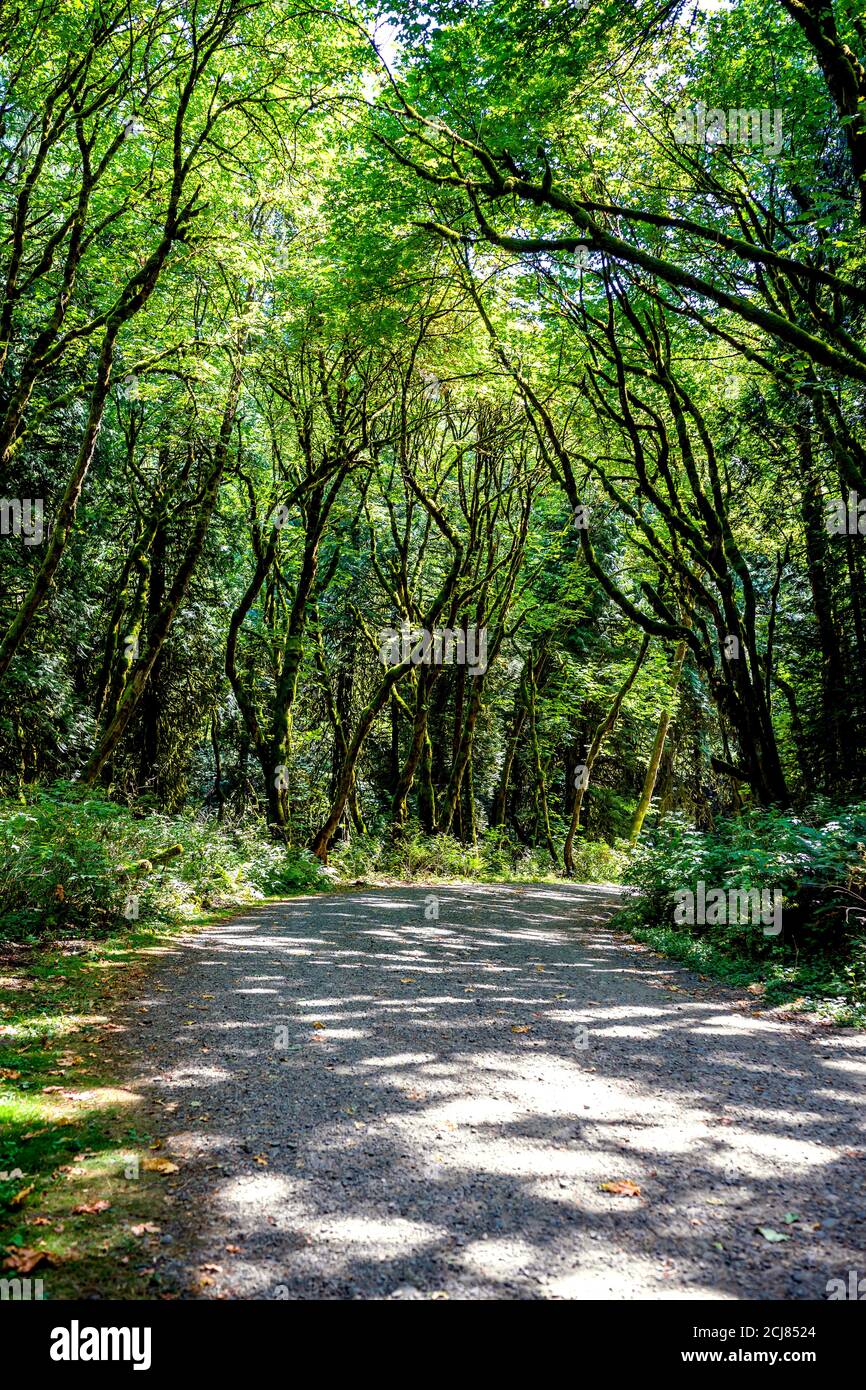 Winding ups and downs hi-res stock photography and images - Alamy