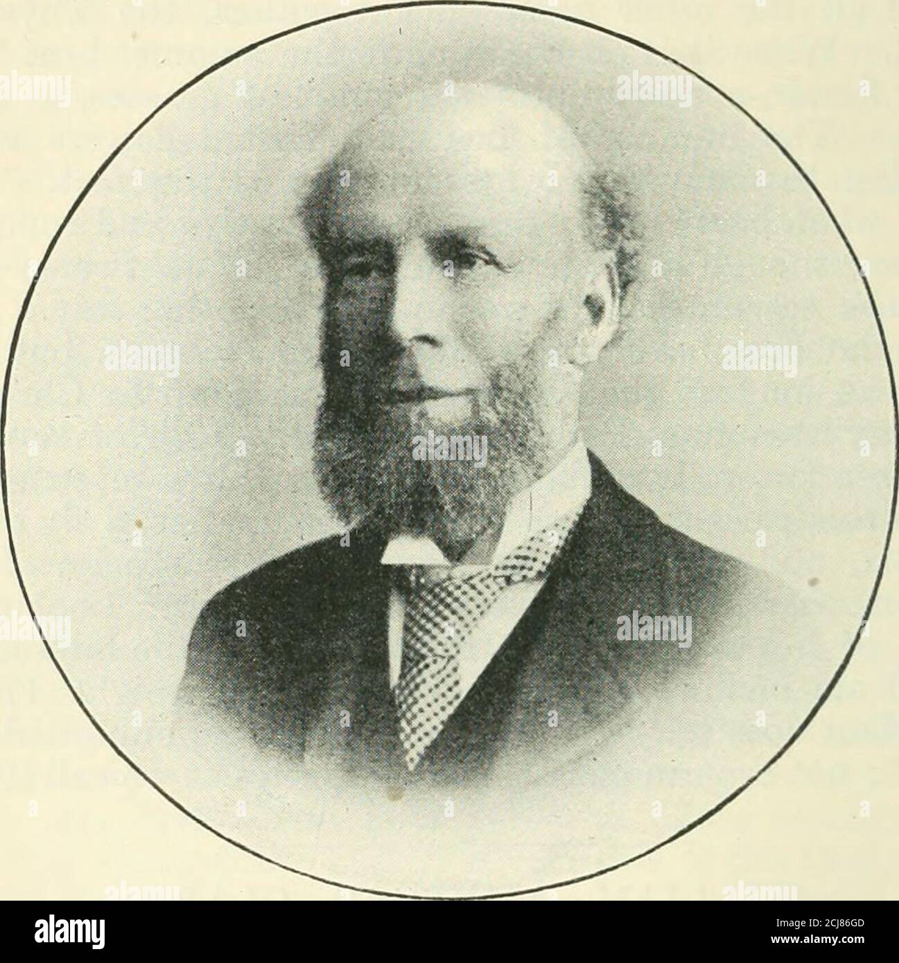 Emily Wilis – Telegraph