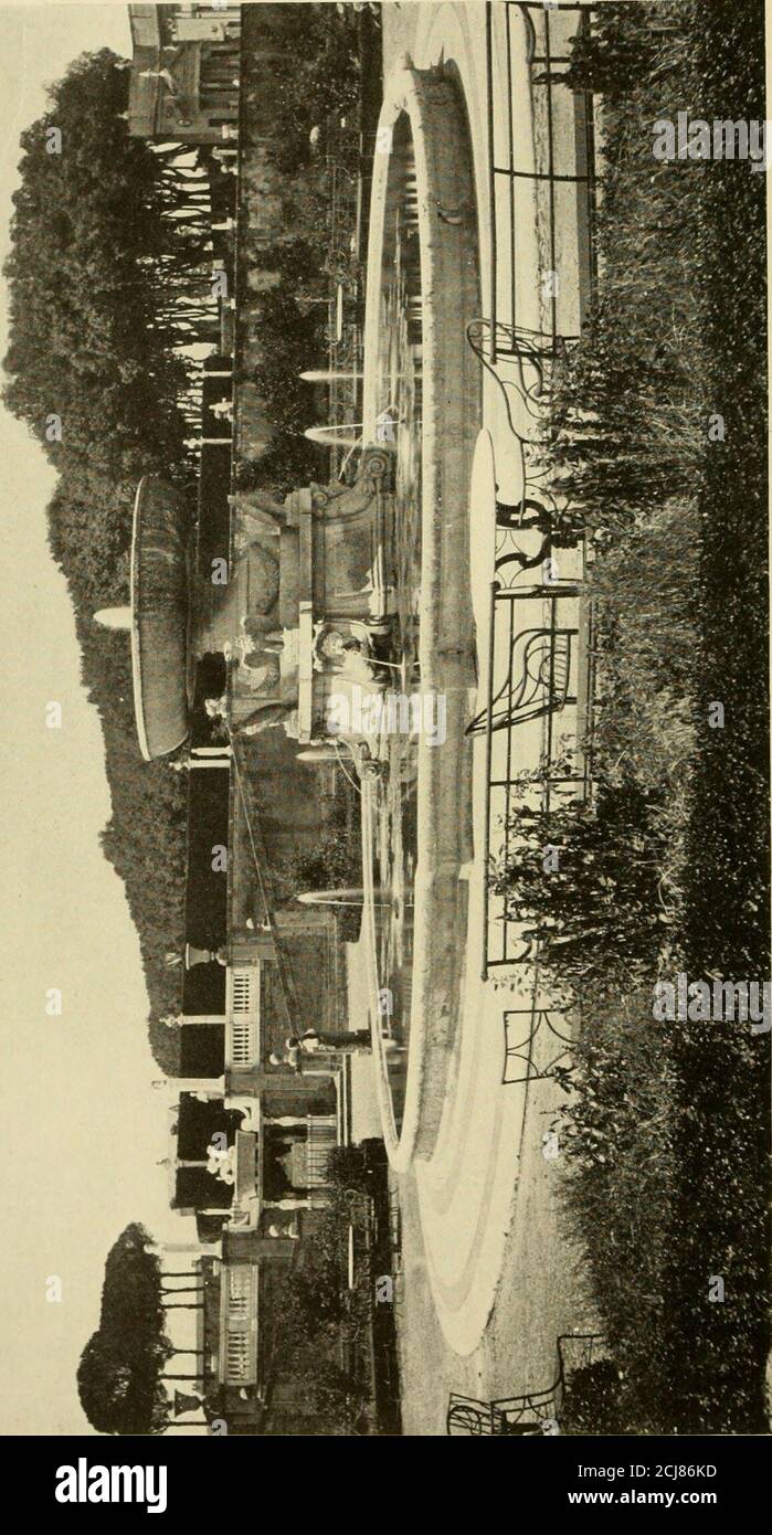 Japanese poplar tree hi-res stock photography and images - Alamy