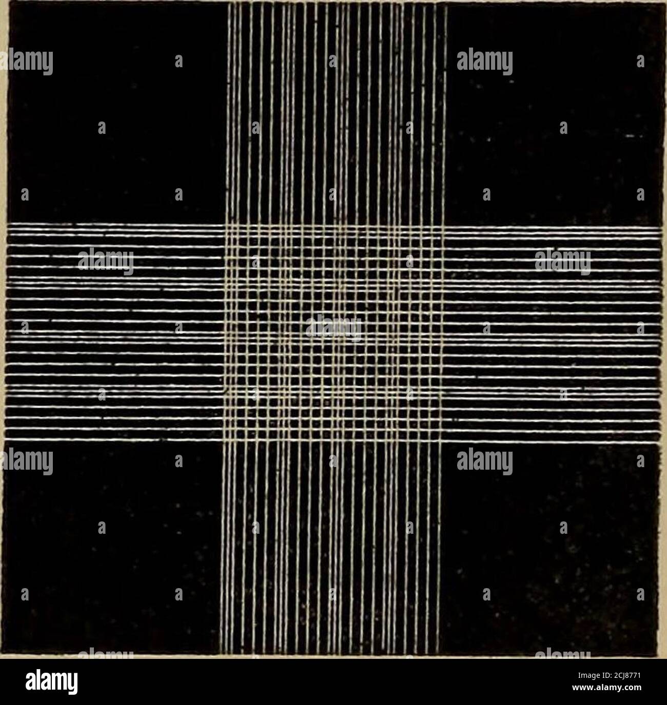. The diagnosis of diseases of women . The Thoma hsematocytometer. 100 ...