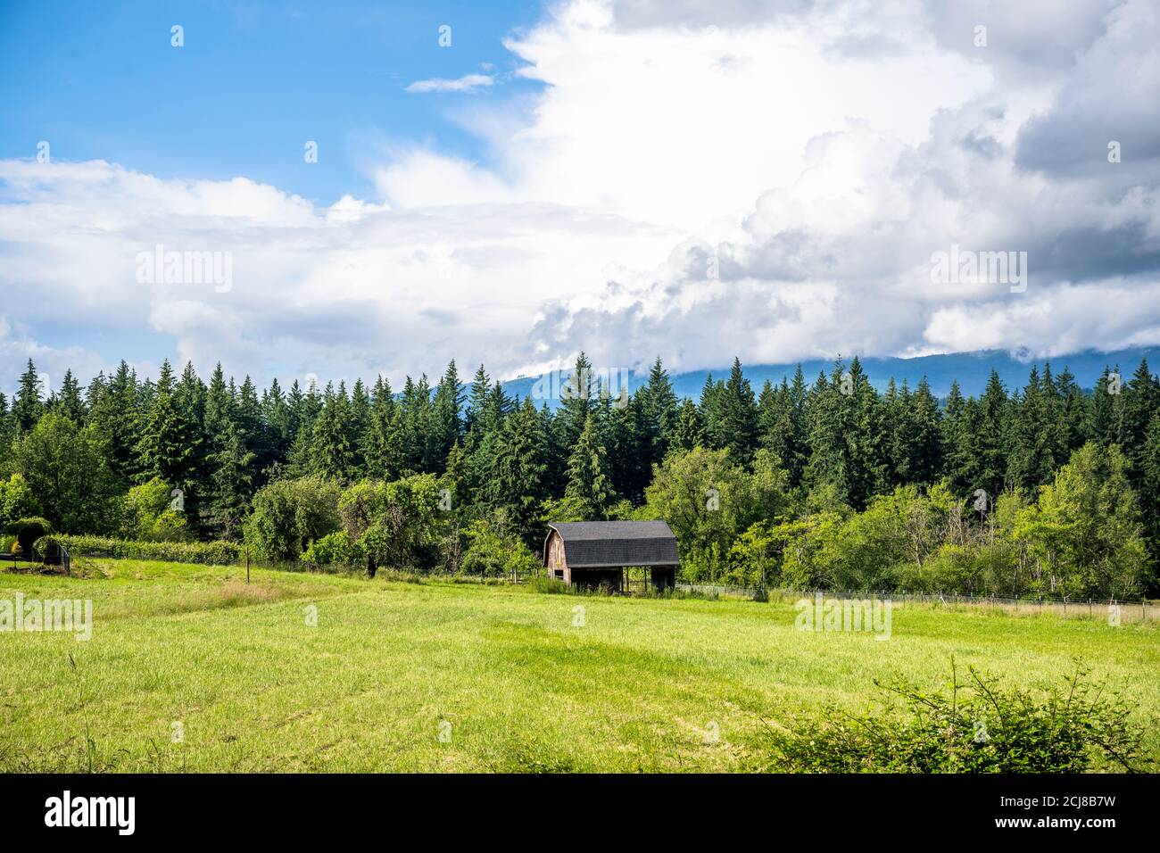 Rural summer landscape with old rickety wooden hay barn standing under ...
