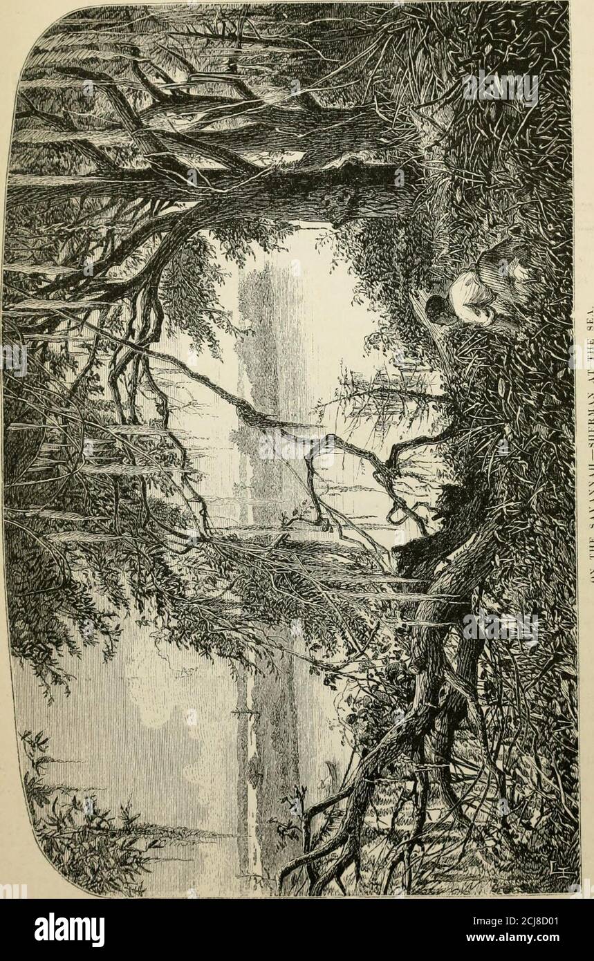 Foe circle hi-res stock photography and images - Alamy