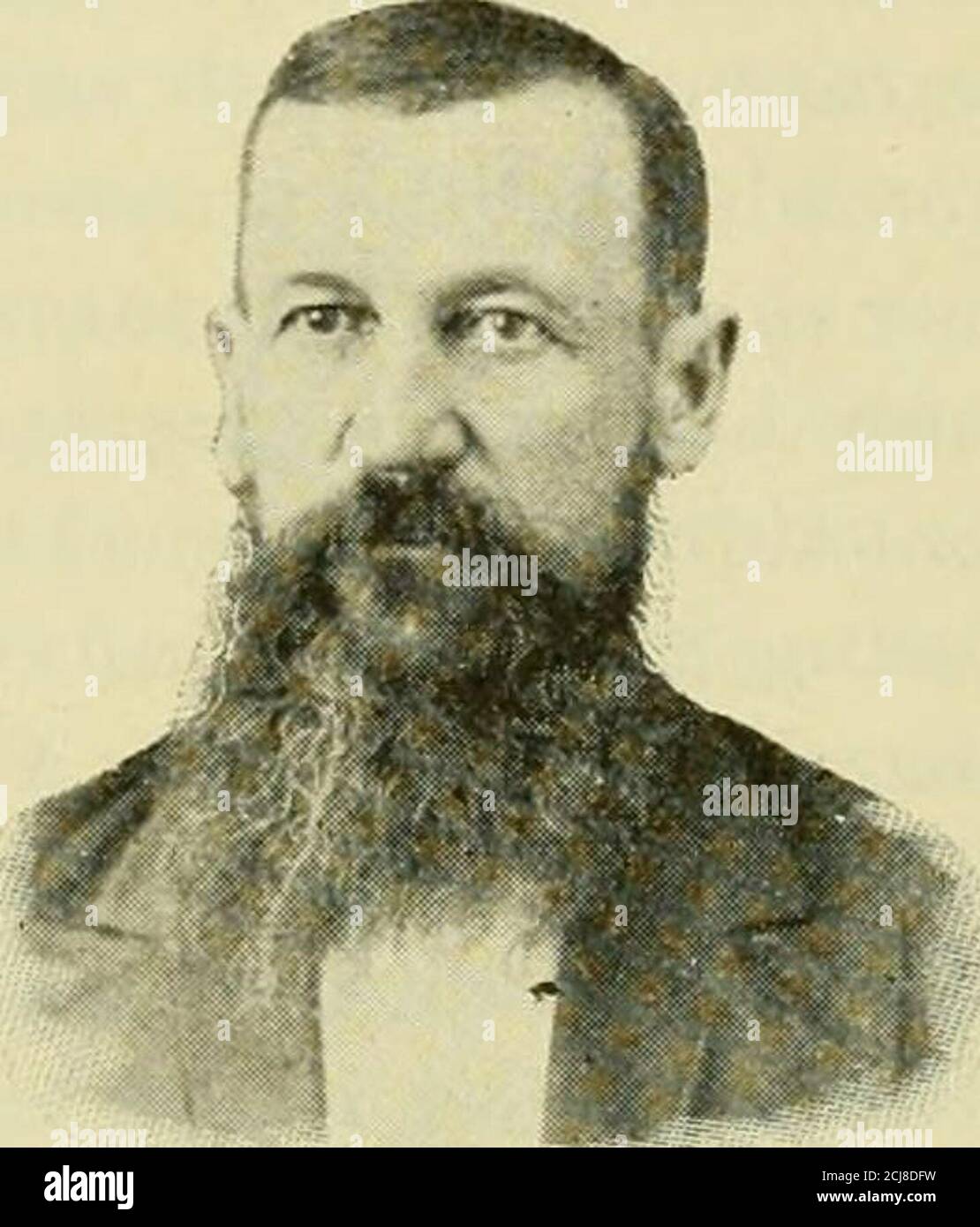 South carolina infantry regiment hi-res stock photography and images ...