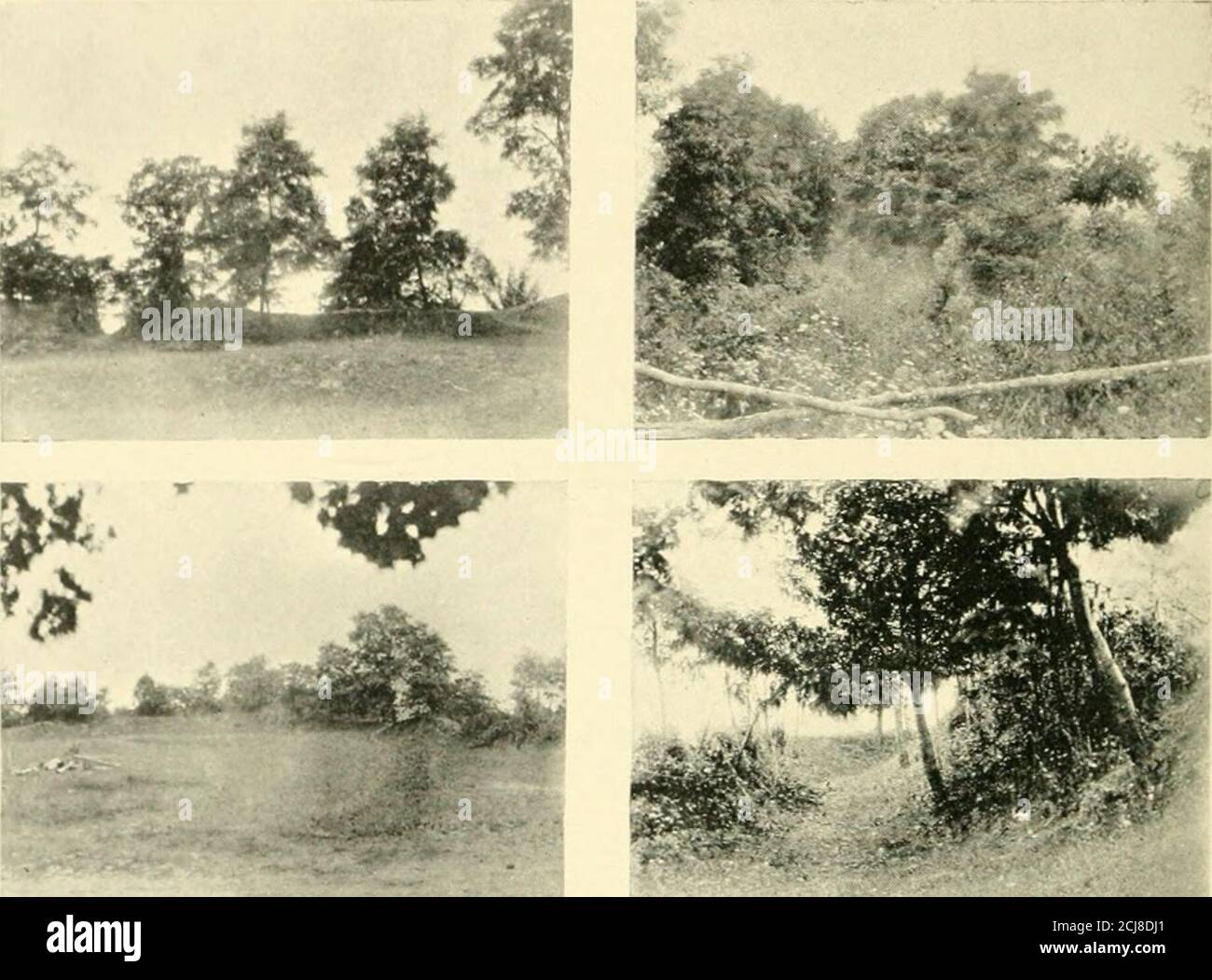 34th infantry regiment hi-res stock photography and images - Alamy