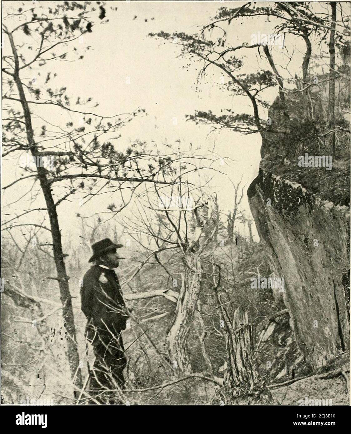 Wilderness campaign hi-res stock photography and images - Alamy