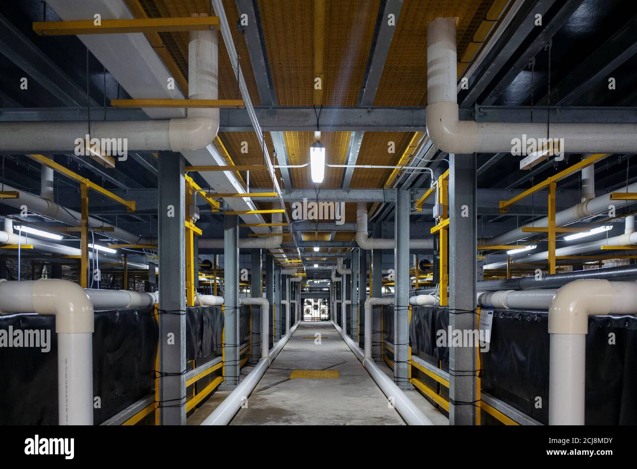 Vertical farming singapore hi-res stock photography and images - Alamy