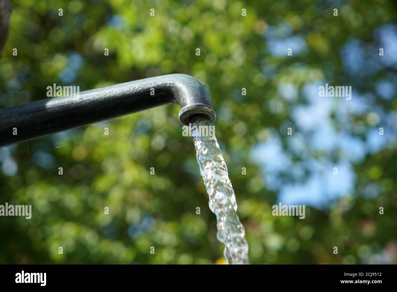 Low angle shot of a water tap with running water in a garden with green ...