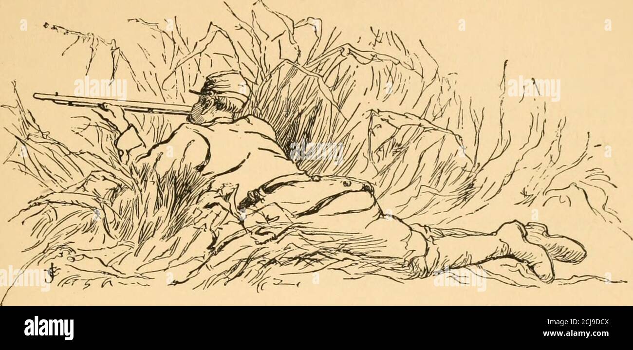 Battle of brandy station hi-res stock photography and images - Alamy