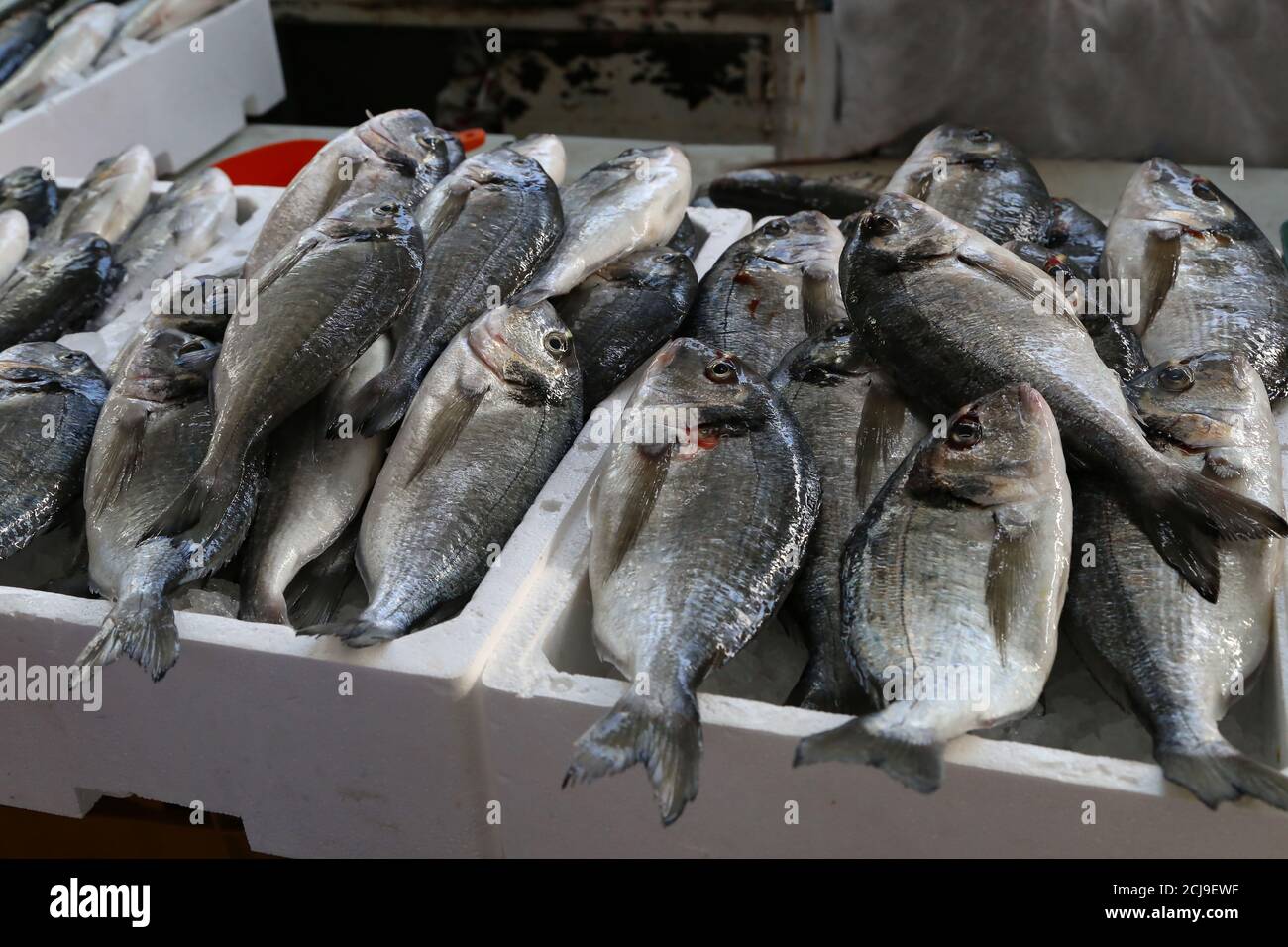 Display of fishes on a fish stand at a market Stock Photo - Alamy