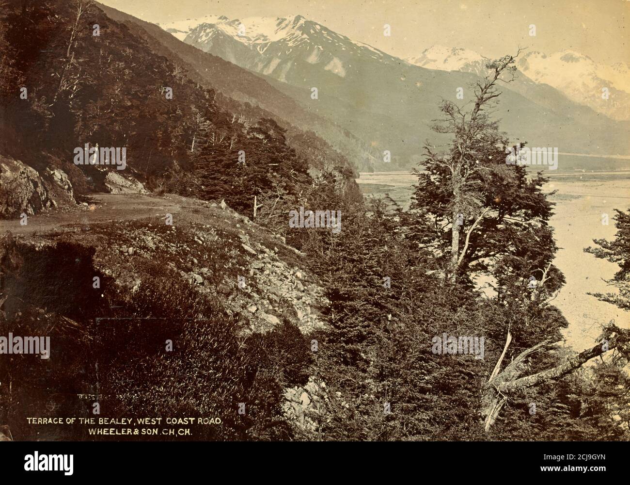 Terrace of the Bealey, West Coast Road, New Zealand, circa 1880 Stock Photo - Alamy