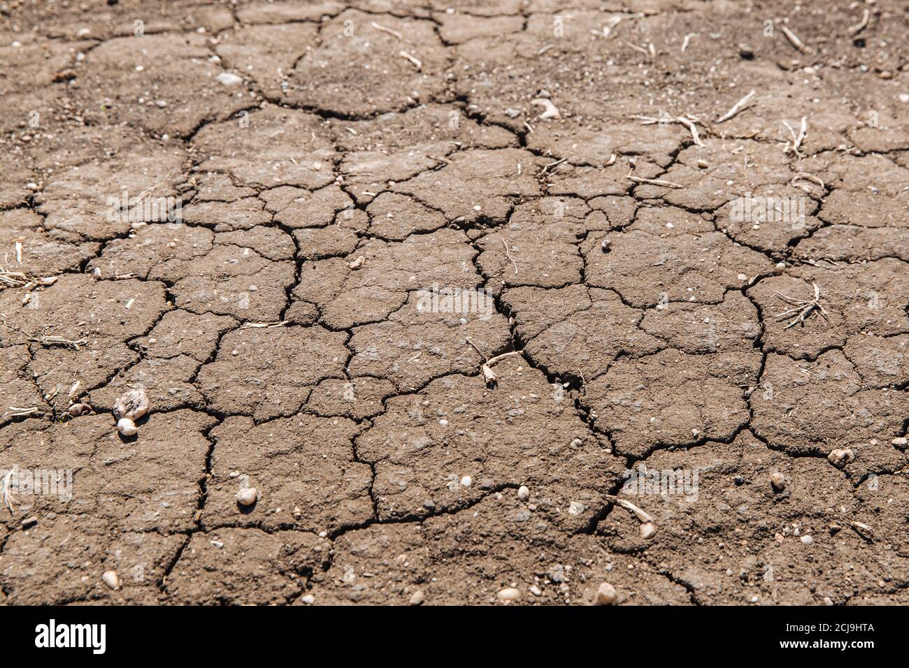 Dried cracked earth soil ground texture background. Mosaic pattern of ...