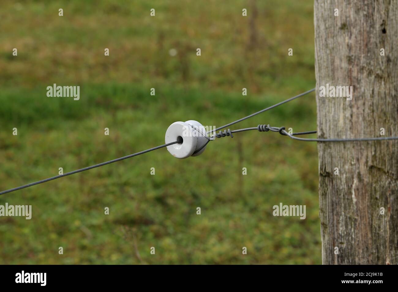 Closeup of a spool insulator on an electric fence Stock Photo - Alamy