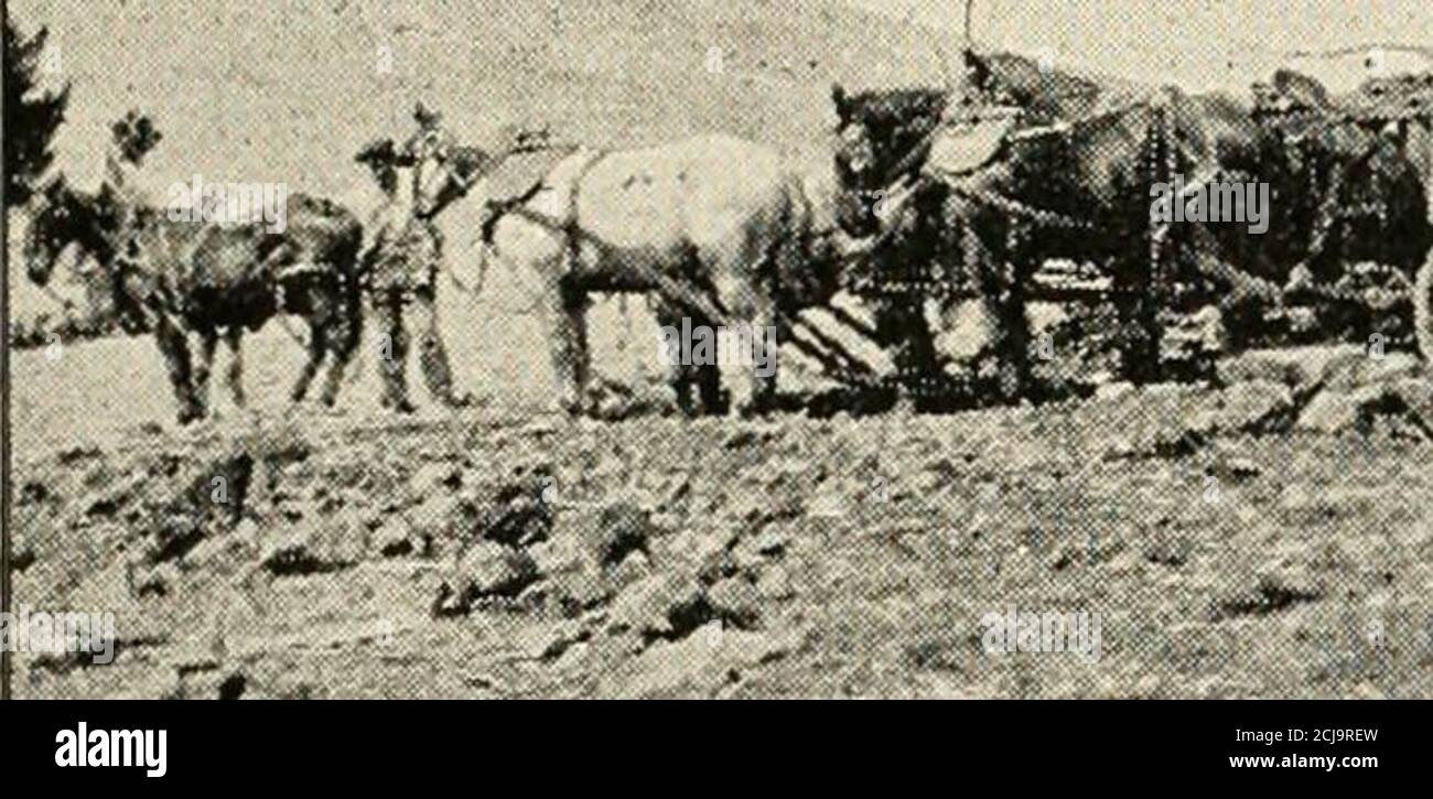 William bellamy hi-res stock photography and images - Alamy