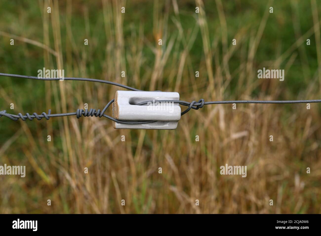 Closeup of a stay insulator on an electric fence Stock Photo - Alamy