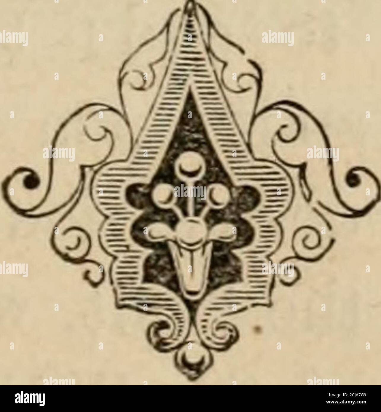 Carlin james hi-res stock photography and images - Alamy