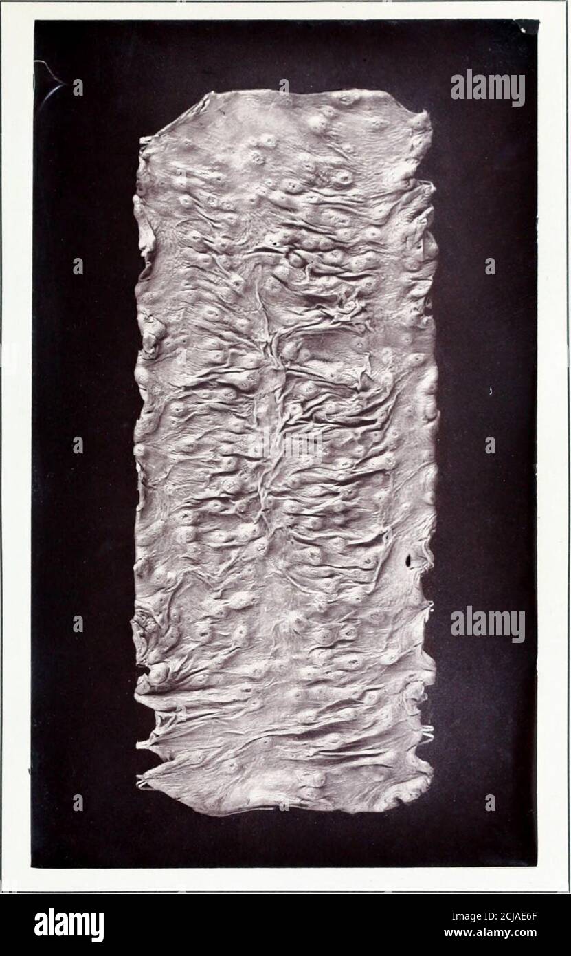 Swo pin hi-res stock photography and images - Alamy