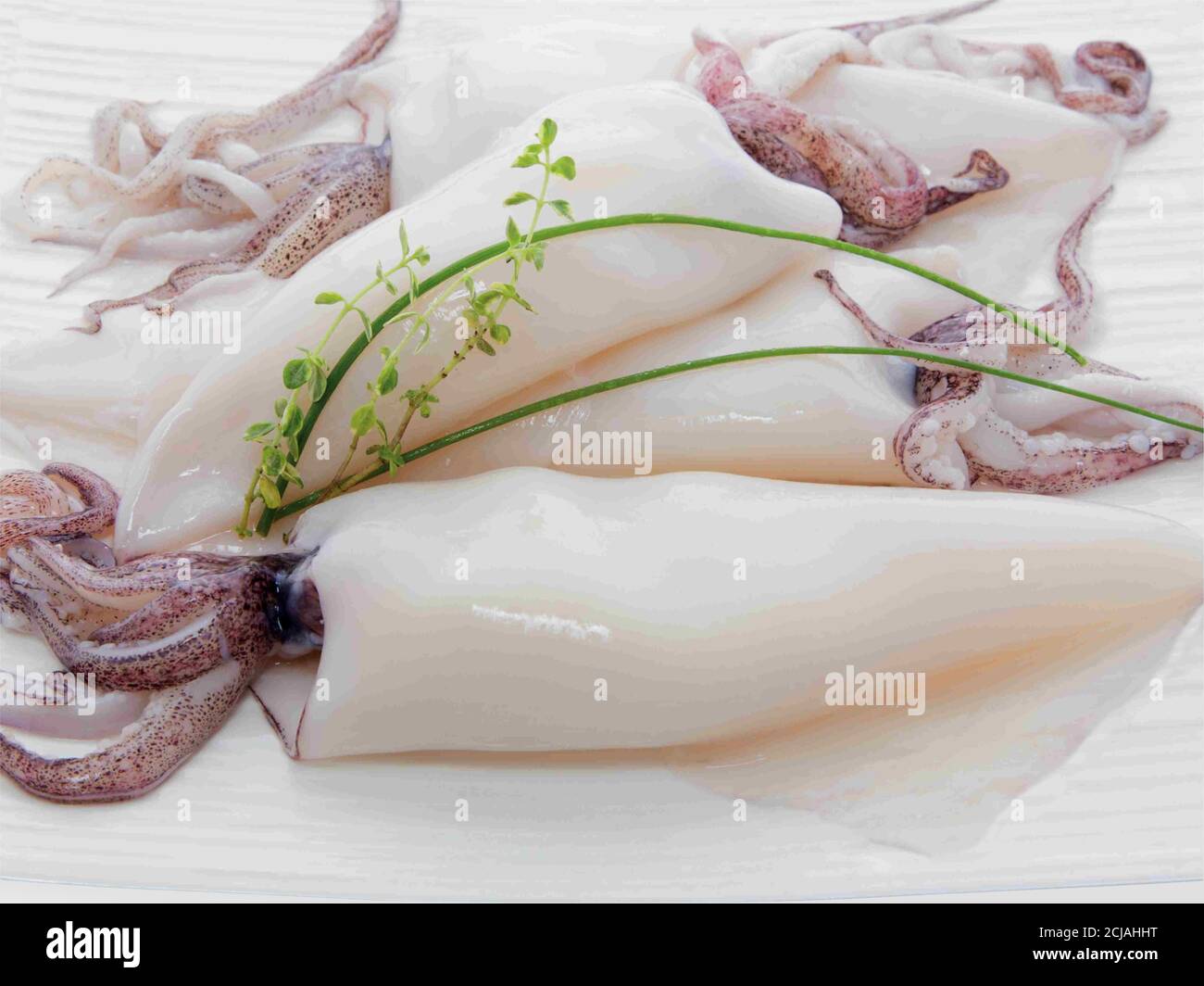 Faraonica hi-res stock photography and images - Alamy