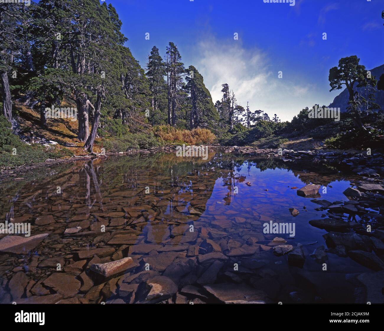 Cuichi hi-res stock photography and images - Alamy