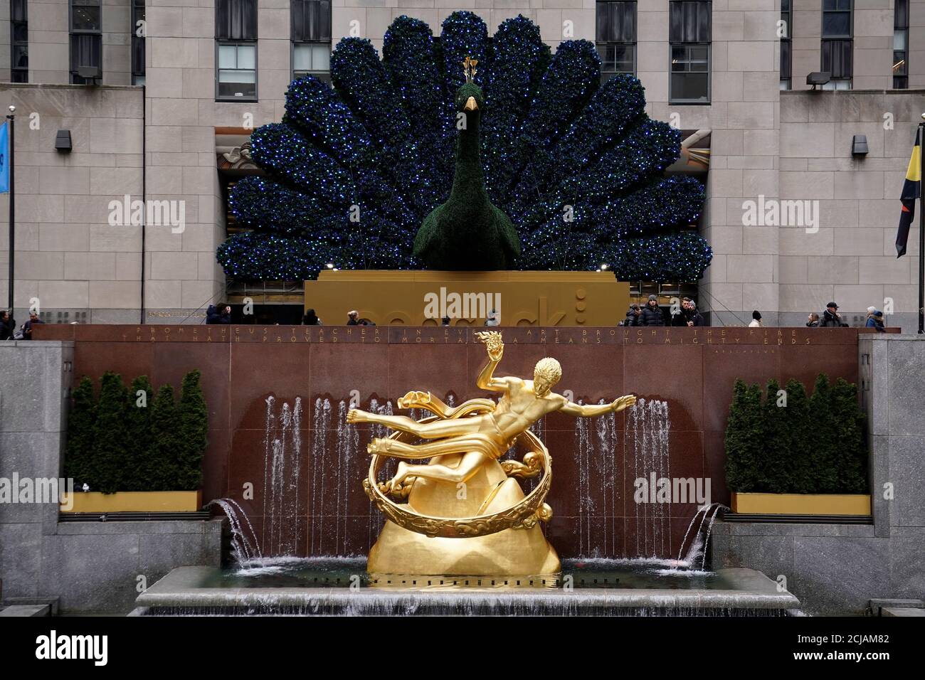 New York Peacock High Resolution Stock Photography and Images - Alamy