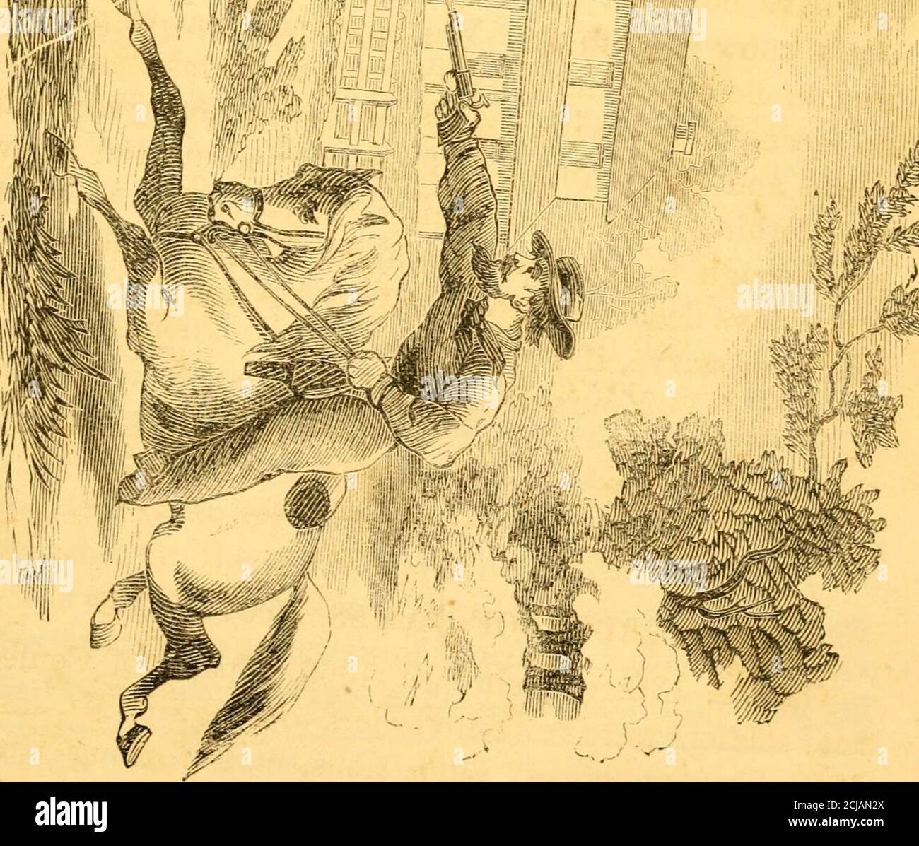 Feedingcattle hi-res stock photography and images - Alamy