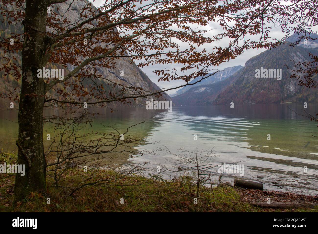 Beautiful view of the Lake Koenigsee in Bavaria, Germany Stock Photo ...