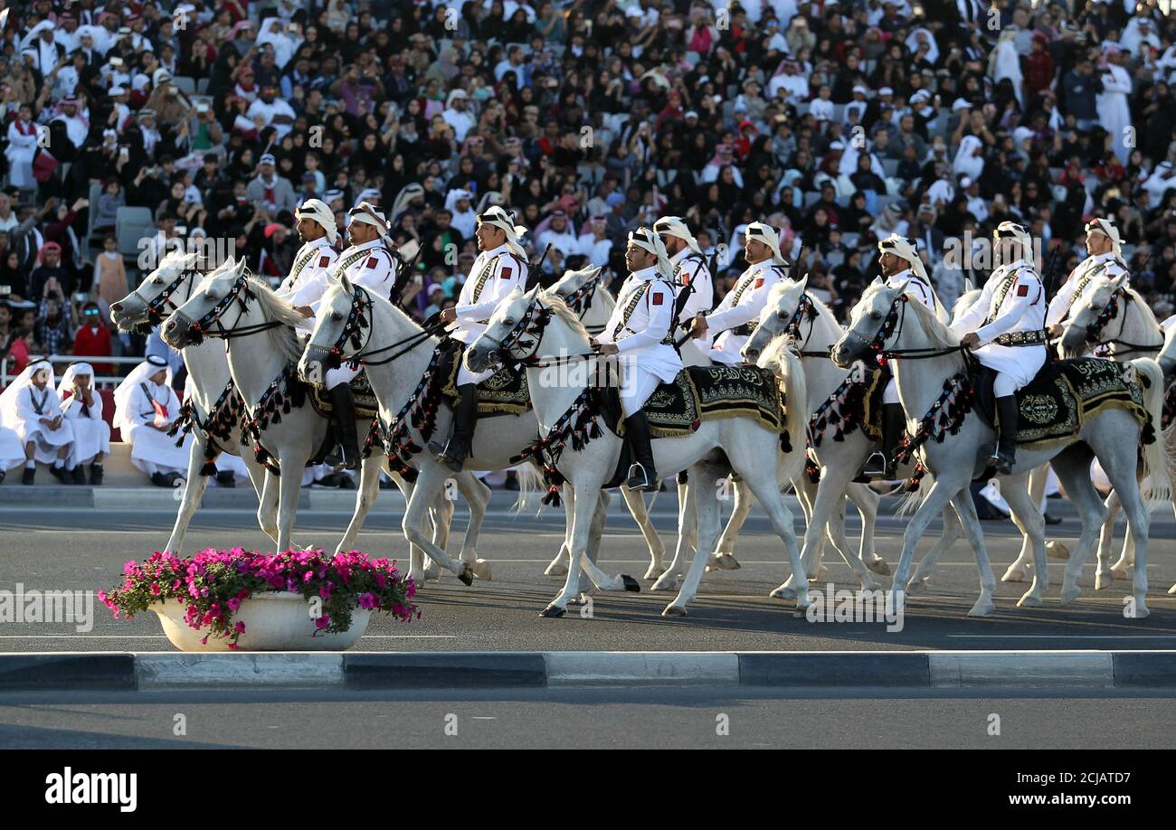 Qatar National Animal High Resolution Stock Photography and Images - Alamy