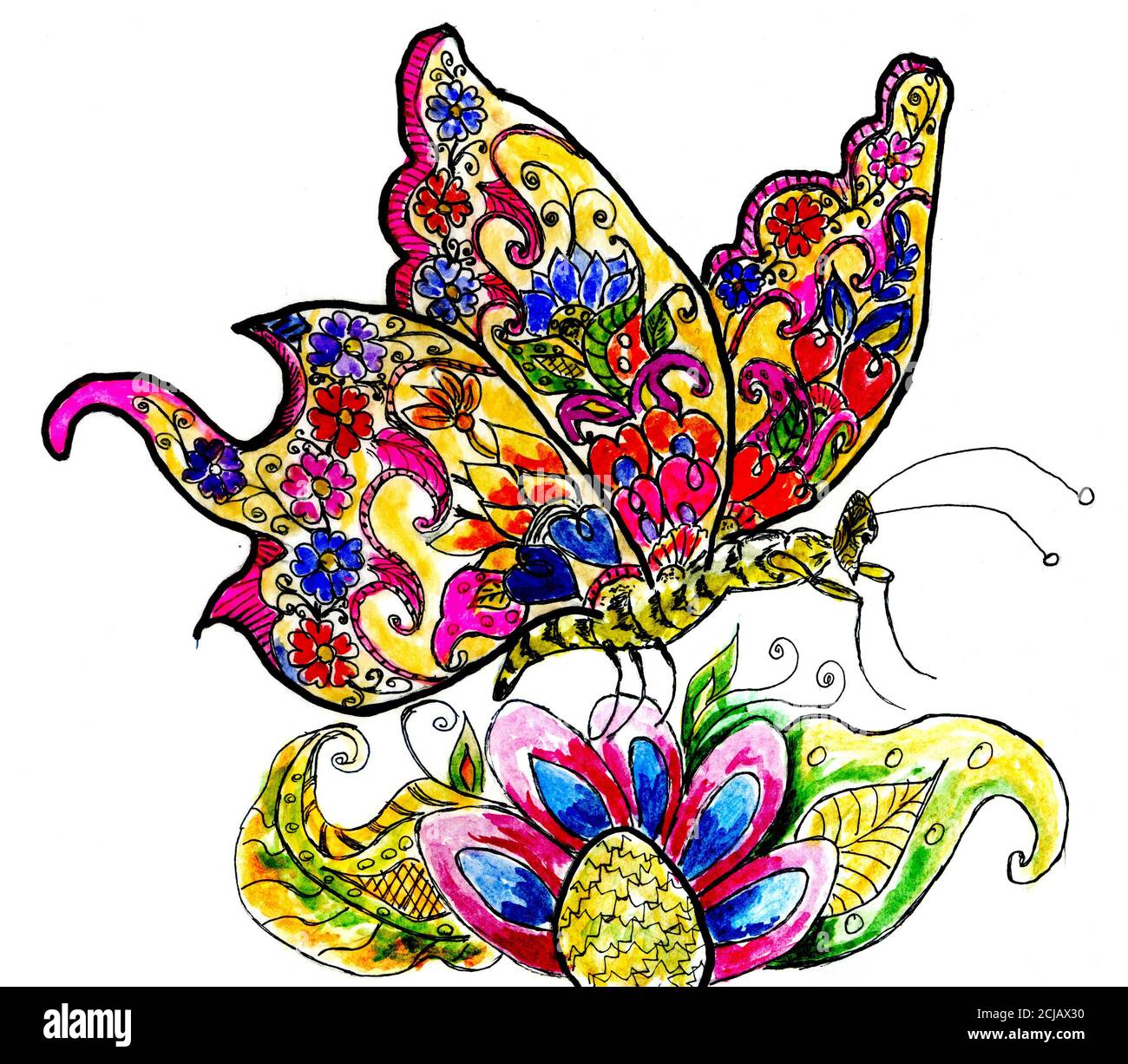 Cool Butterfly Designs